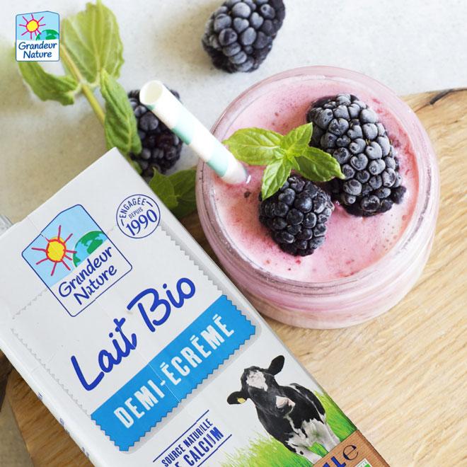 Recette de Smoothie maison aux fruits rouges - Grandeur Nature